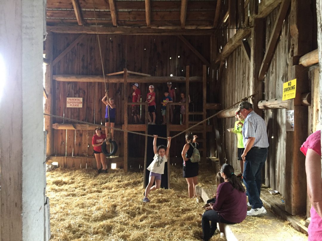 Home - Avonmore Berry Farm