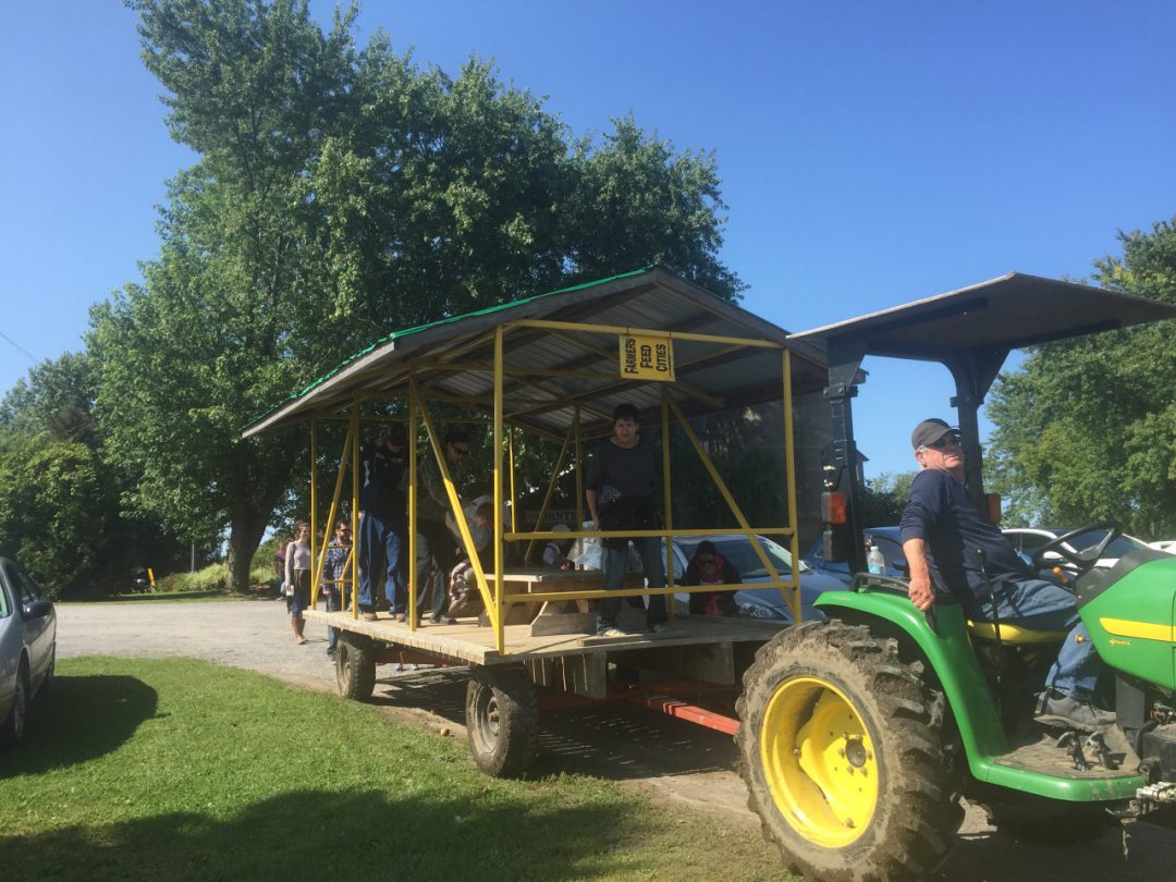 Home - Avonmore Berry Farm